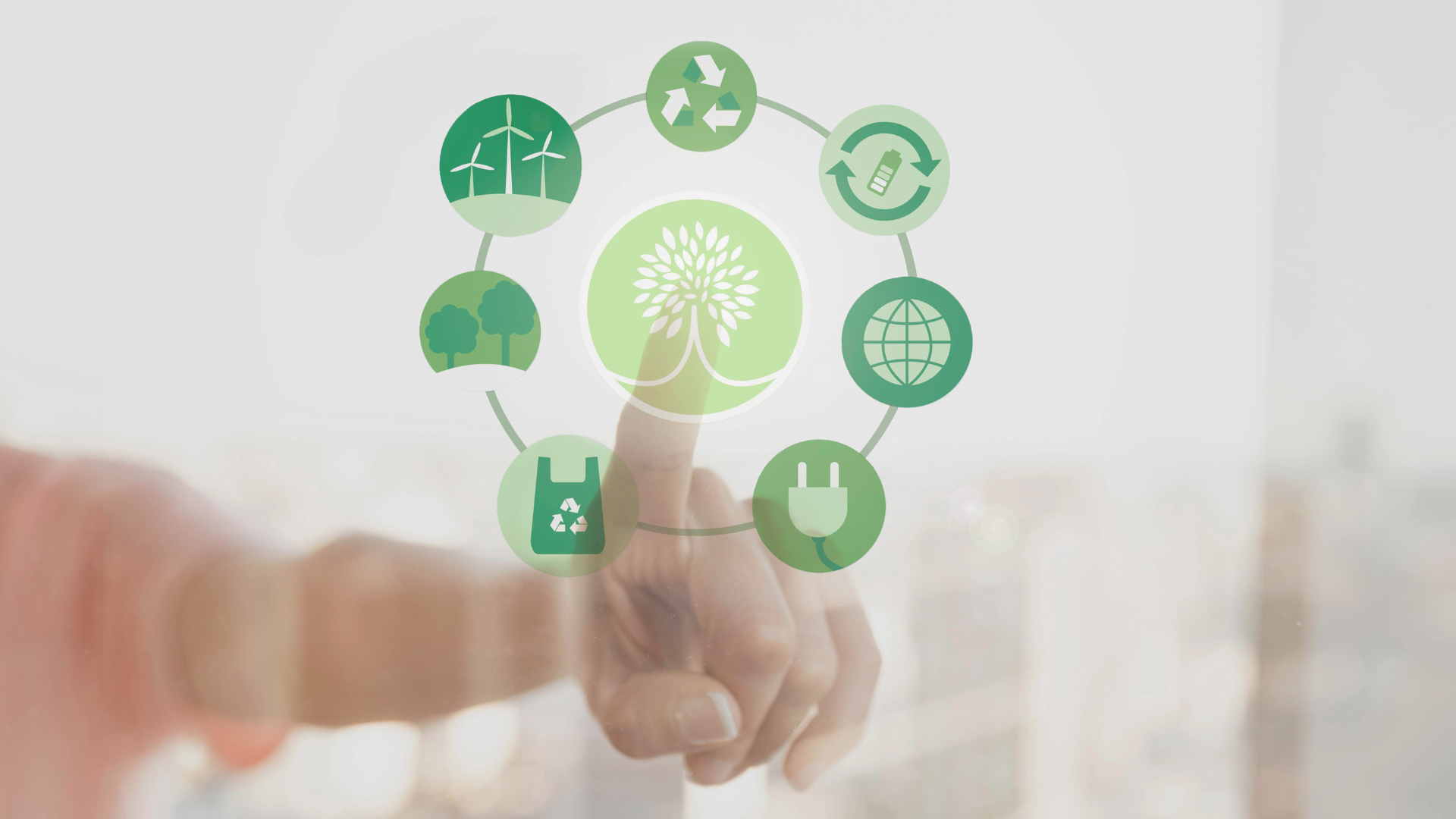 Economía Circular - ISO 59040 | Ecoterrae